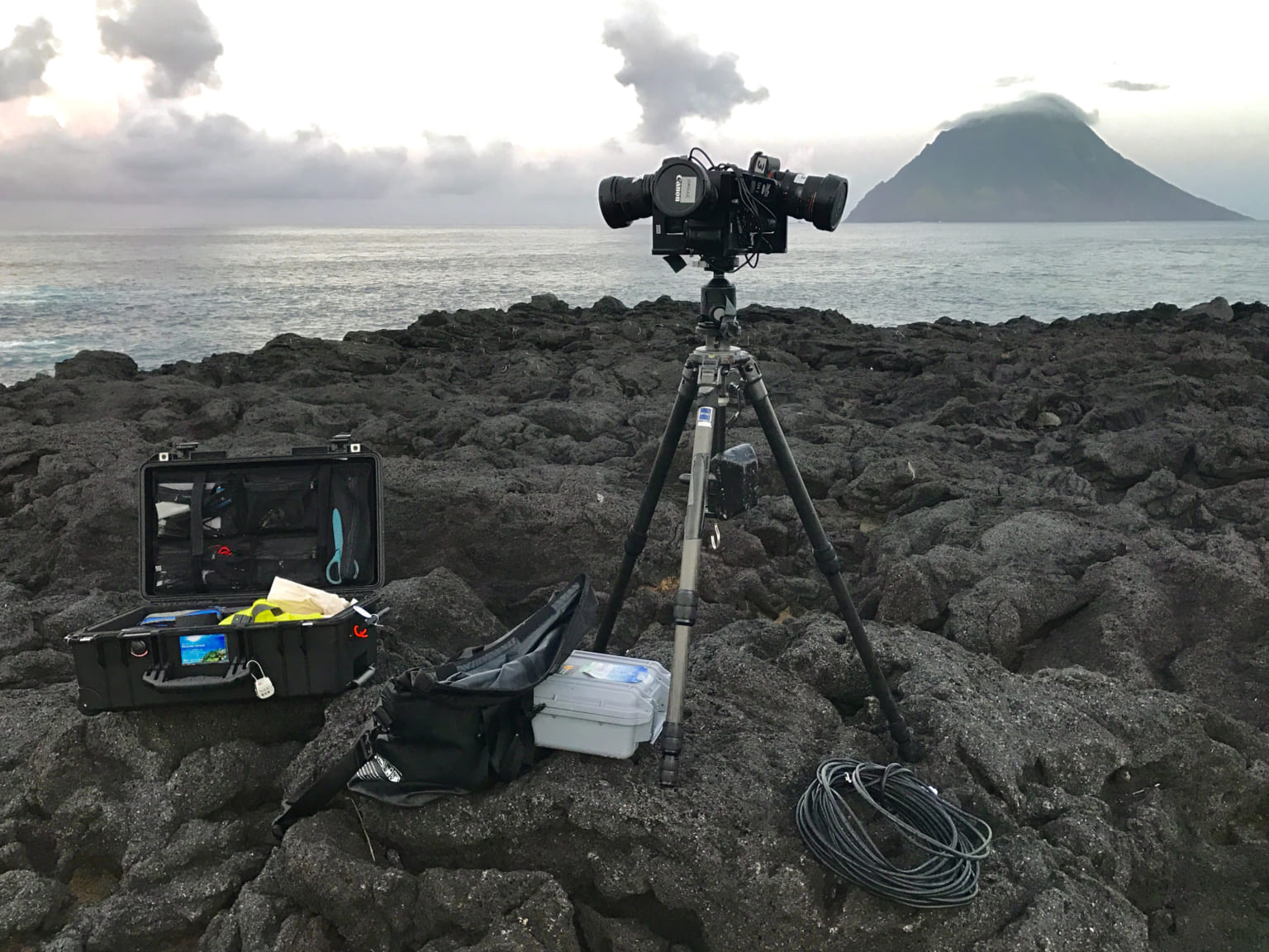 シーピックスジャパン株式会社 360VR 360動画 VR180撮影 水中写真貸出